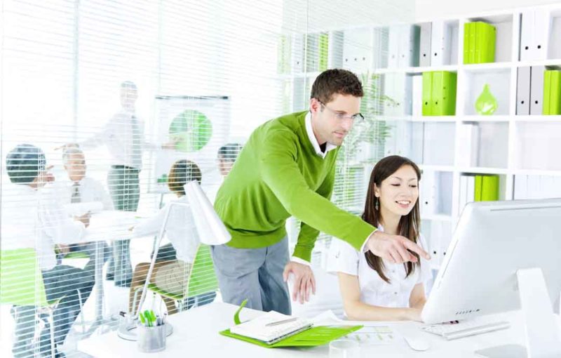 Sapling Financial Consultants Inc. | Management Consulting Firm